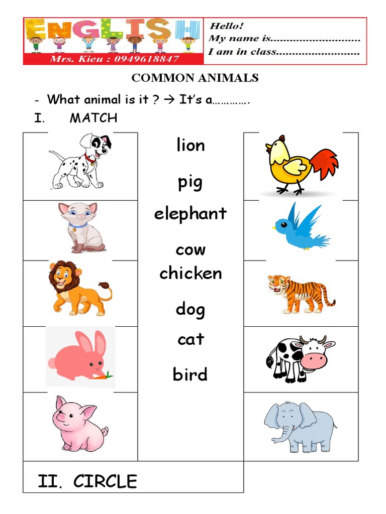 Animals G1 | PDF