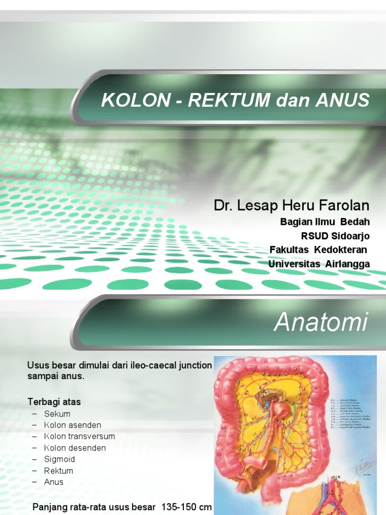 Anatomi dan Penyakit Kolon serta Rektum | PDF