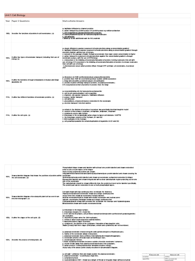 IB Biology Revision Spreadsheet - Cell Bio | PDF | Cell Membrane | Mitosis
