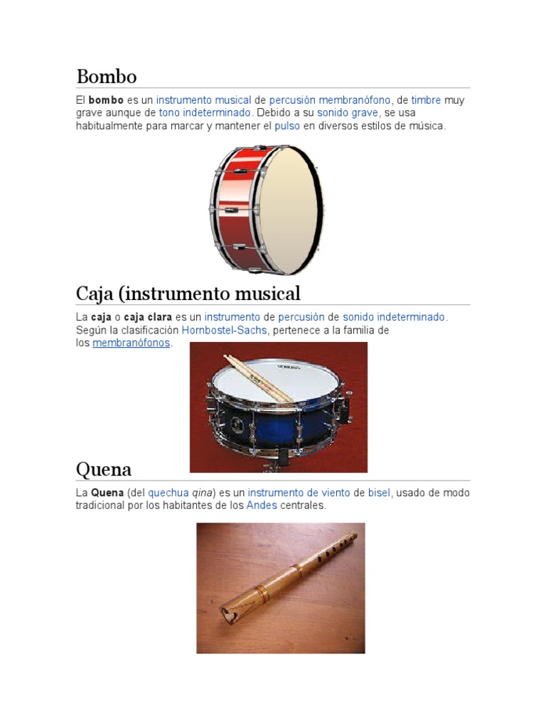 25 Intrumentos | PDF | Violonchelo | Instrumentos de cuerda
