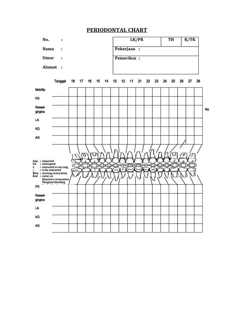 Periodontal Charting Template | PDF