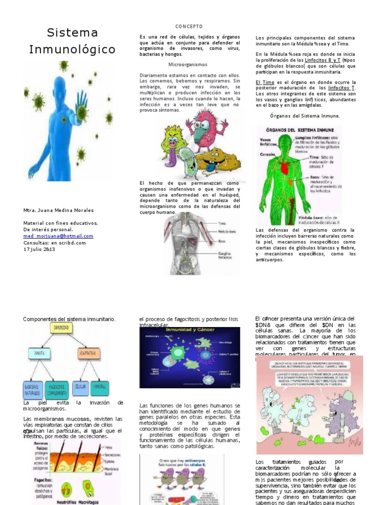 Sistema Inmunologico Triptico | PDF | Sistema inmune | Infección