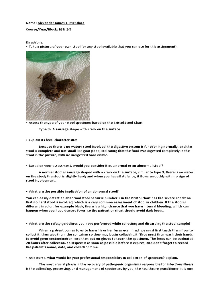 Stool Assessment | PDF | Feces | Nursing
