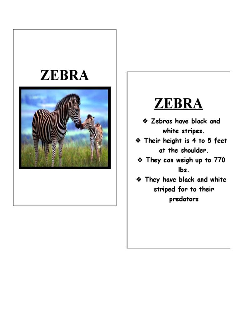 Zebra English | PDF