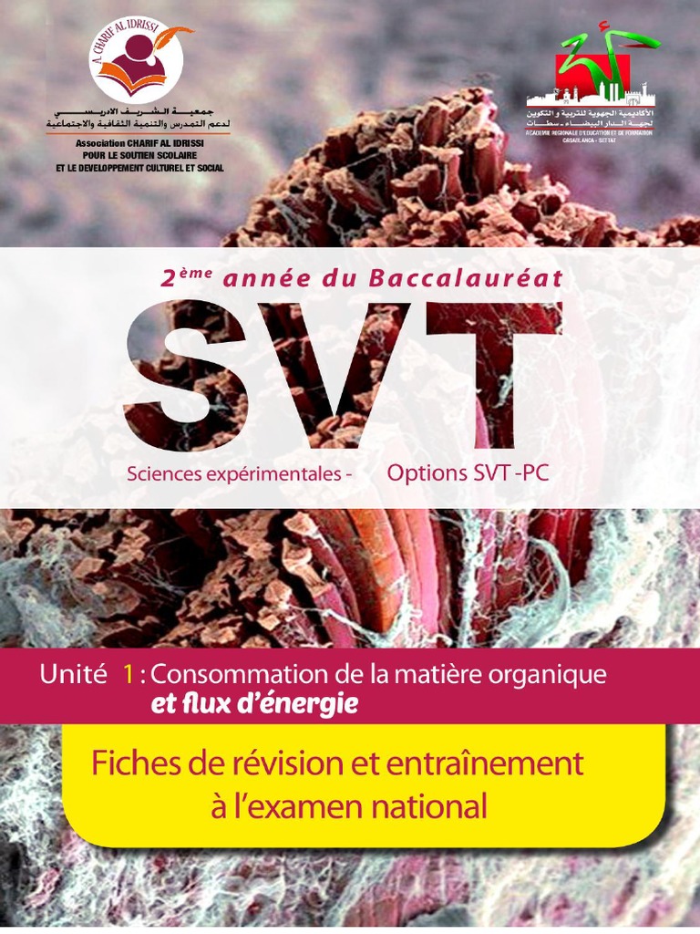 Calameo PDF Downloader | PDF