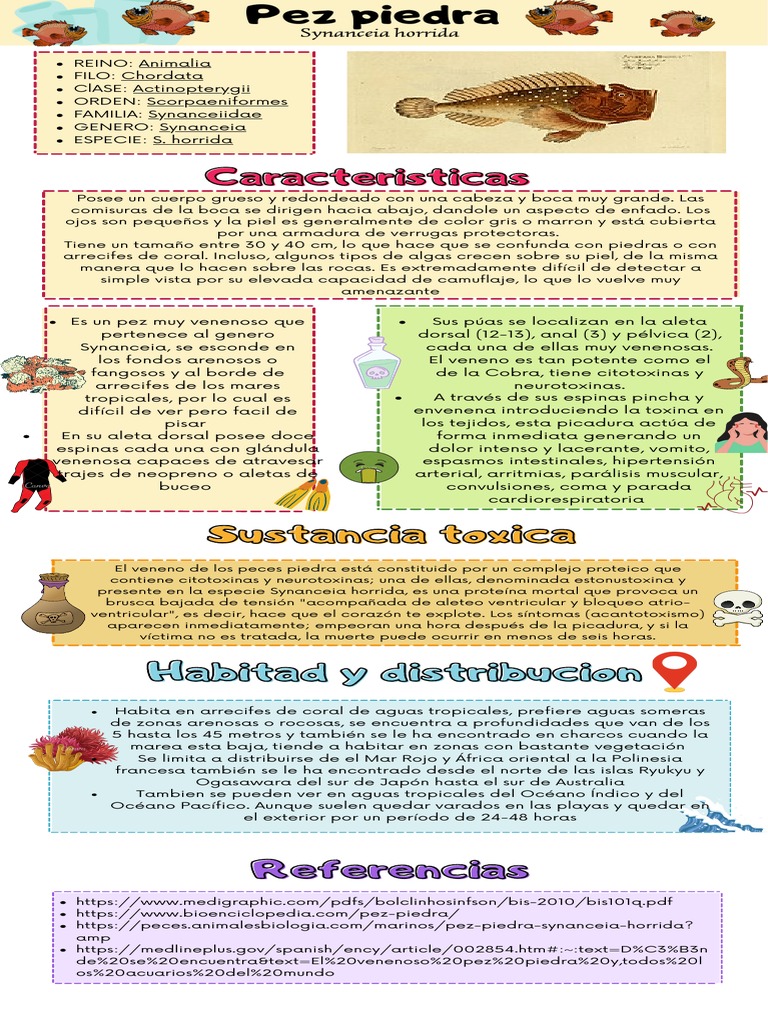 Pez Piedra | PDF
