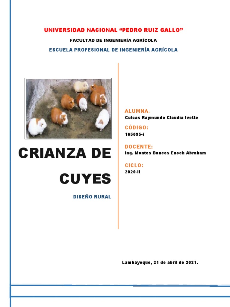 Crianza de Cuyes Diseño Rural | PDF | La alimentación animal ...