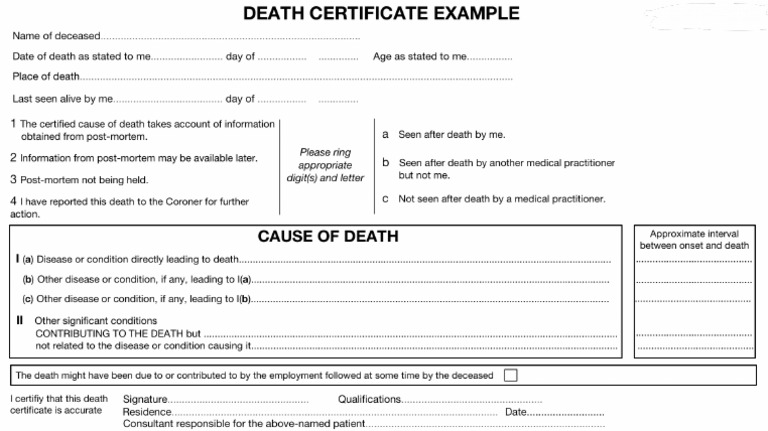 Death Certificate Blank | PDF