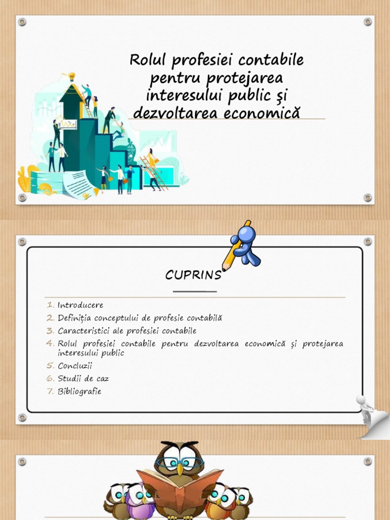 Rolul Contabilitatii | PDF