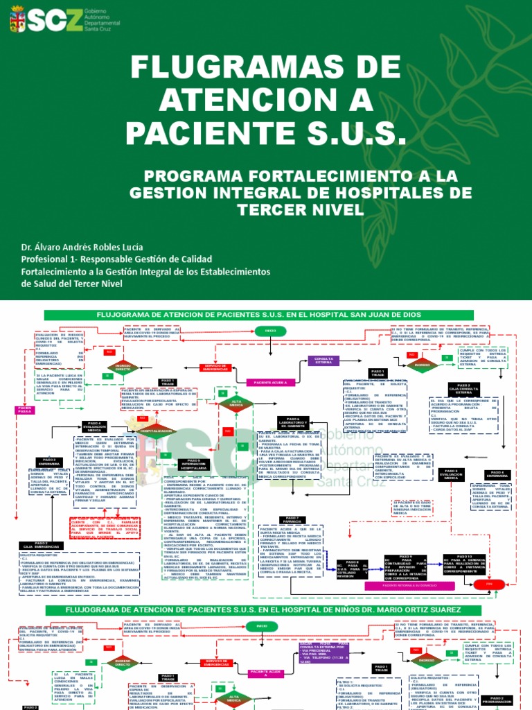 FLUJOGRAMAS | PDF | Hospital | Medicina