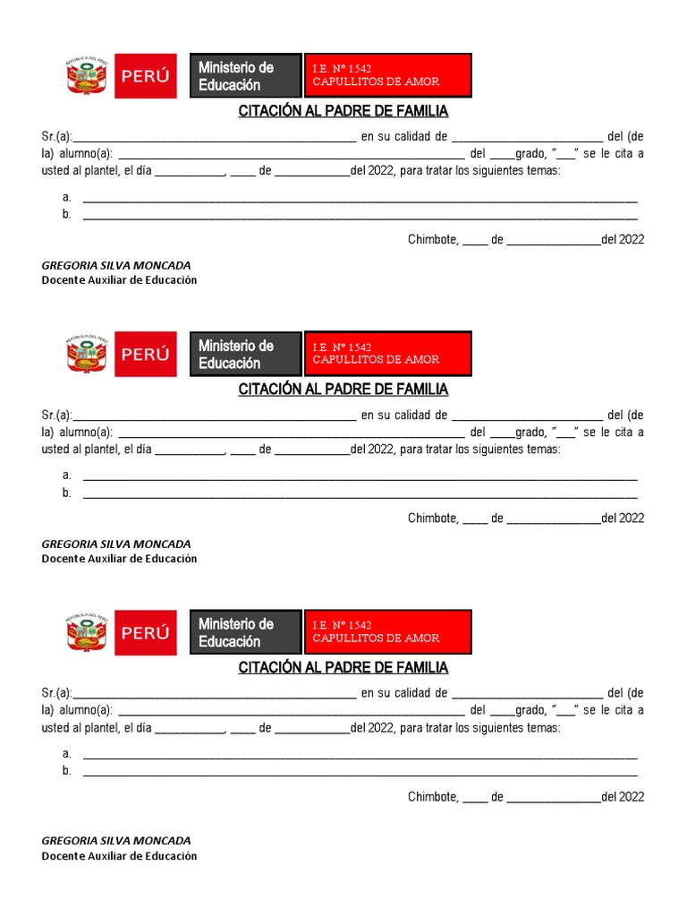 Cómo saber si tengo papeletas | PDF