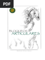 Anatomía de la pata del caballo | PDF | Mano | Sistema musculoesquelético