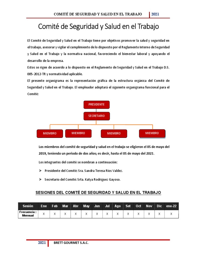 Comite SST | PDF | Seguridad y salud ocupacional | Cuidado de la salud
