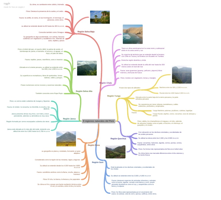 8 Regiones Naturales Del Per | PDF
