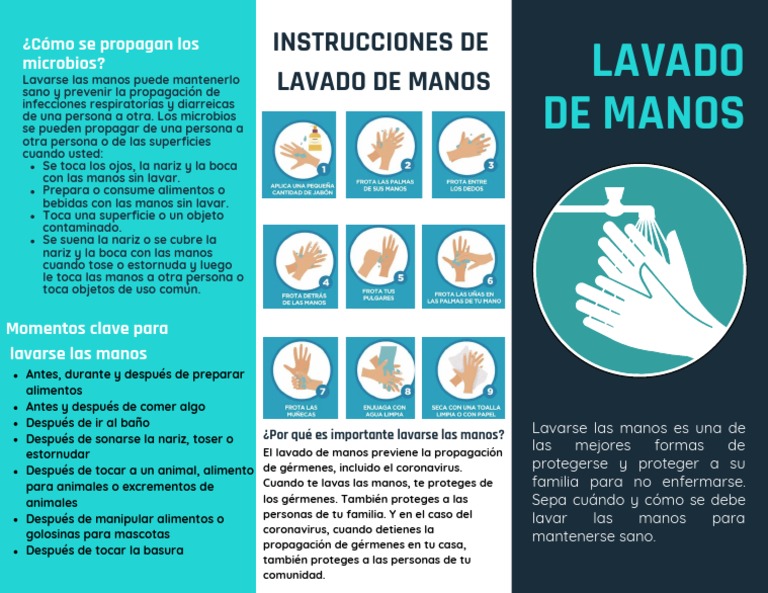 Triptico-Lavado de Manos | PDF | Lavado de manos | Inmunología