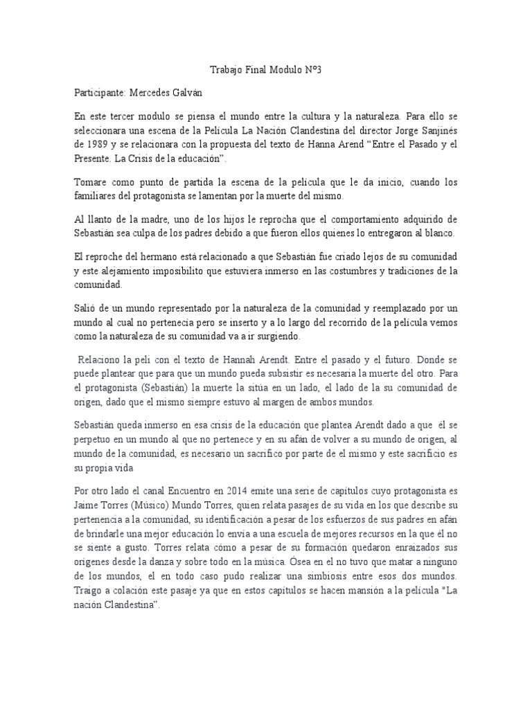 Trabajo Final Modulo 3 Pdf
