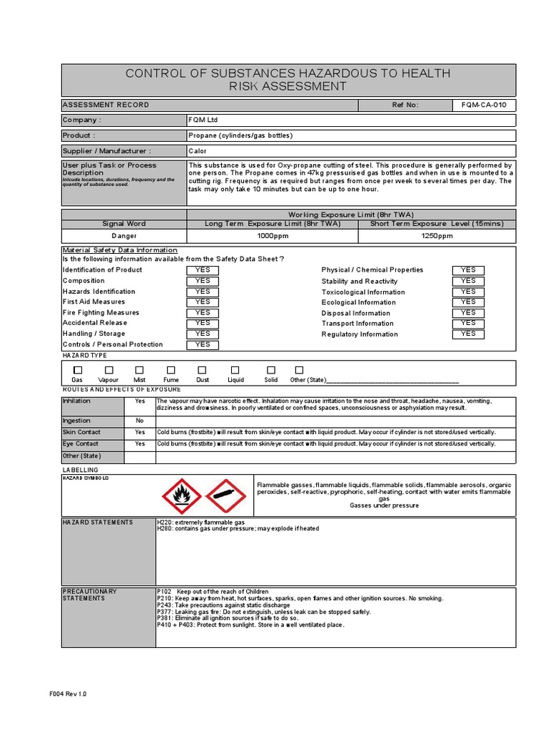 Propane Gas Risk Assessment Report | PDF | Combustion | Burn