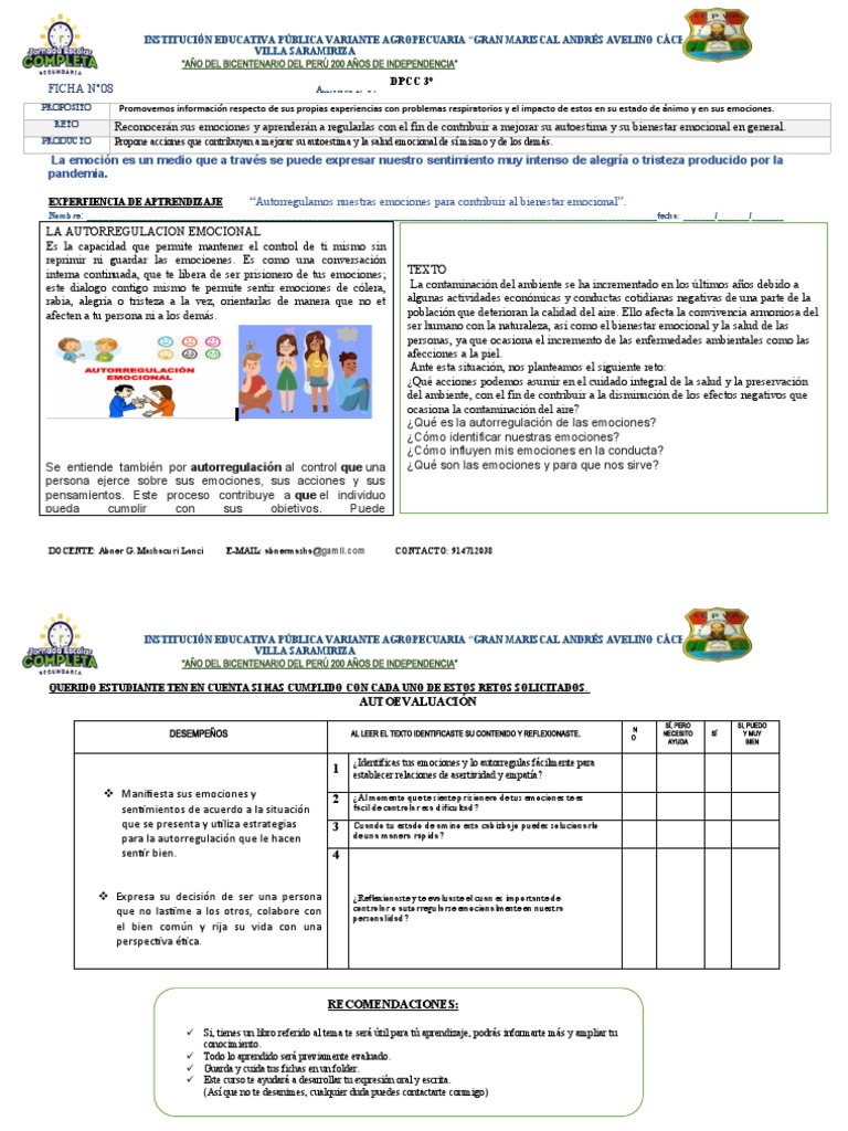 Ficha N°08 - DPCC | PDF | Las emociones | Autorregulación emocional
