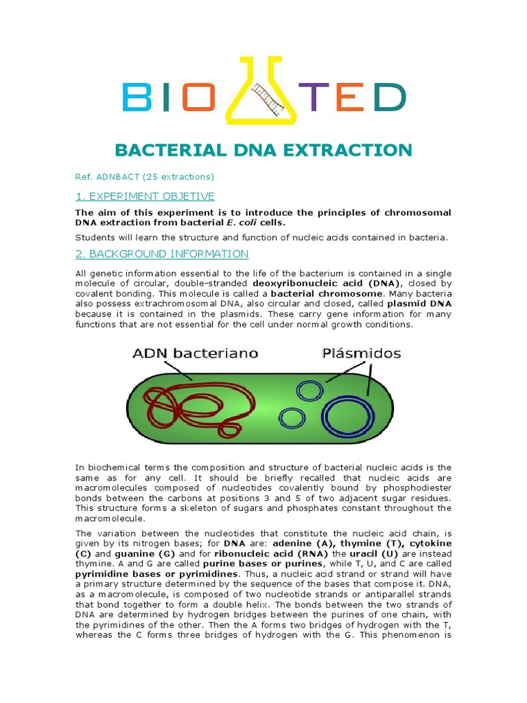 E. coli DNA Extraction Protocol | PDF | Dna | Nucleotides