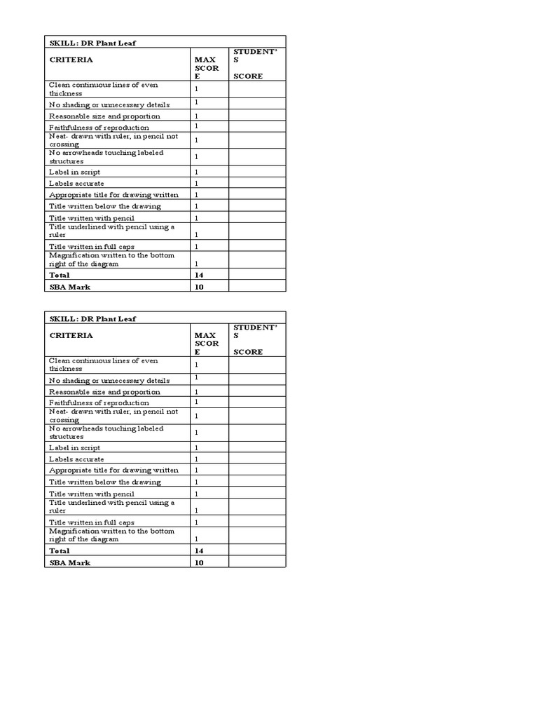DR Plant Leaf Drawing Assessment | PDF | Crafts | Drawing