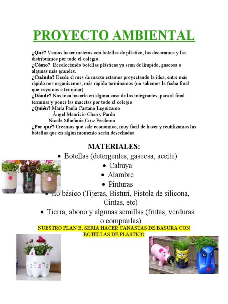 Proyecto Ambiental | PDF