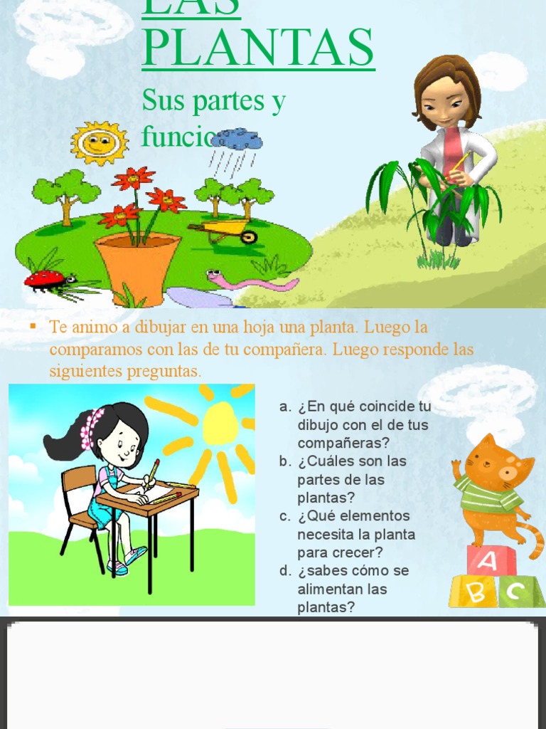 de Las Plantas y Sus Partes Clase Zoom | PDF | Plantas | Naturaleza