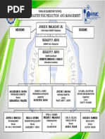 BDRRMC Structure | PDF | Security | Prevention