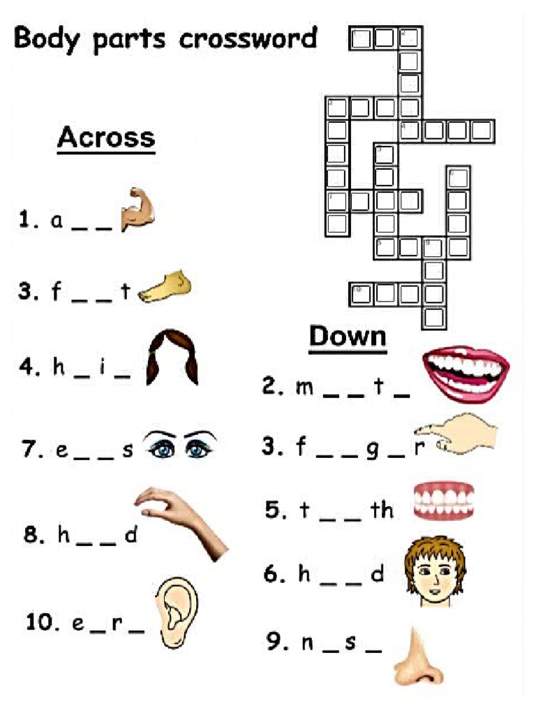 Body Parts | PDF