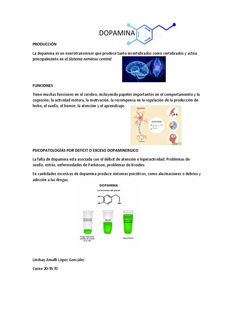 Funciones y efectos de la dopamina | PDF | Salud y bienestar | Estilo ...
