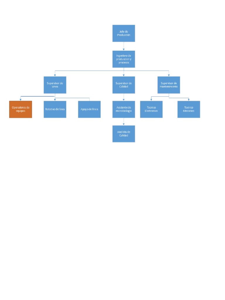 Organigrama Funcional | PDF