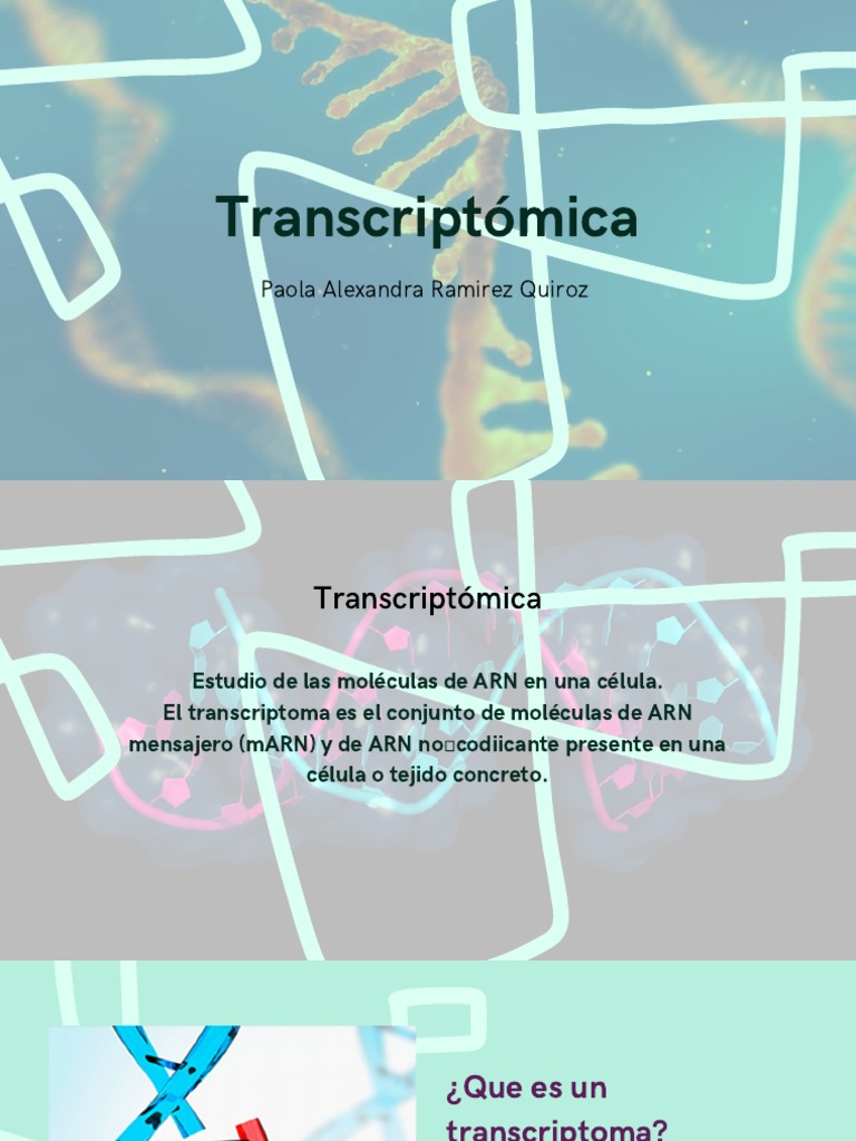 Transcriptomica | PDF | Northern Blot | Transcriptoma