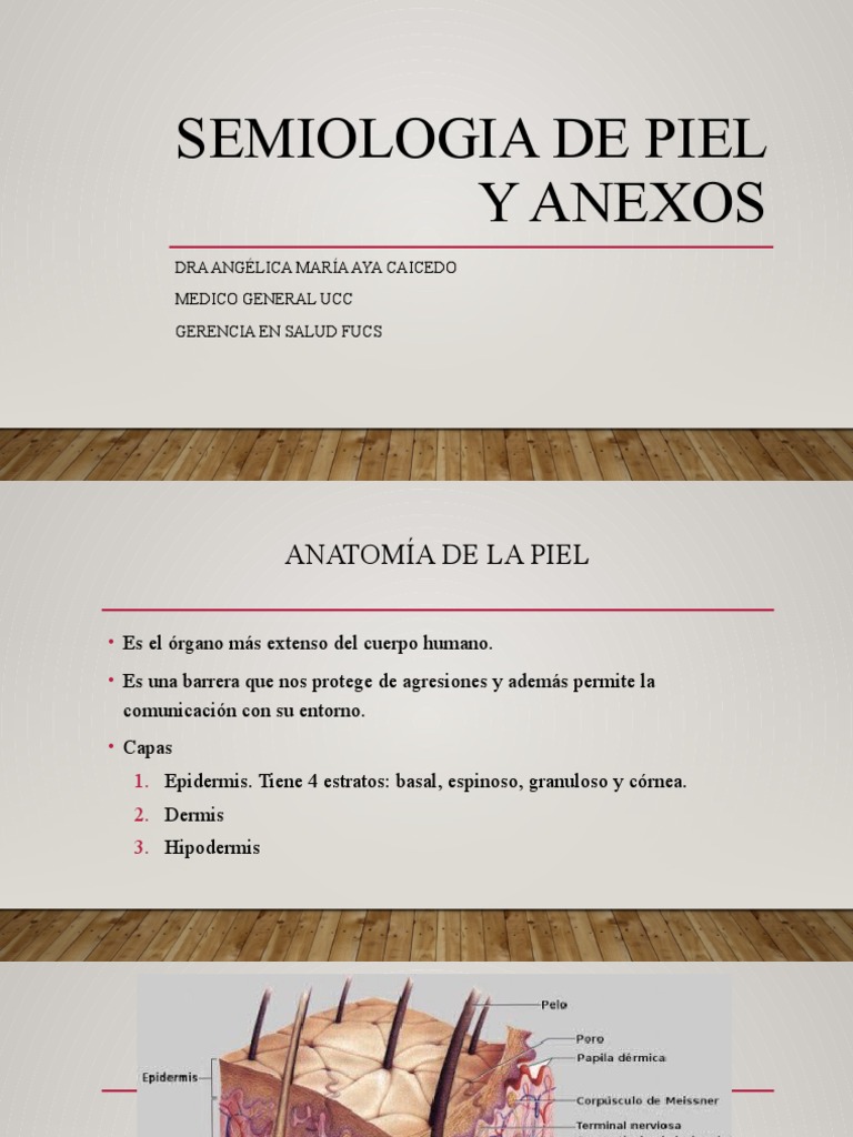 Semiologia de Piel y Anexos | PDF | Piel | Anatomía humana