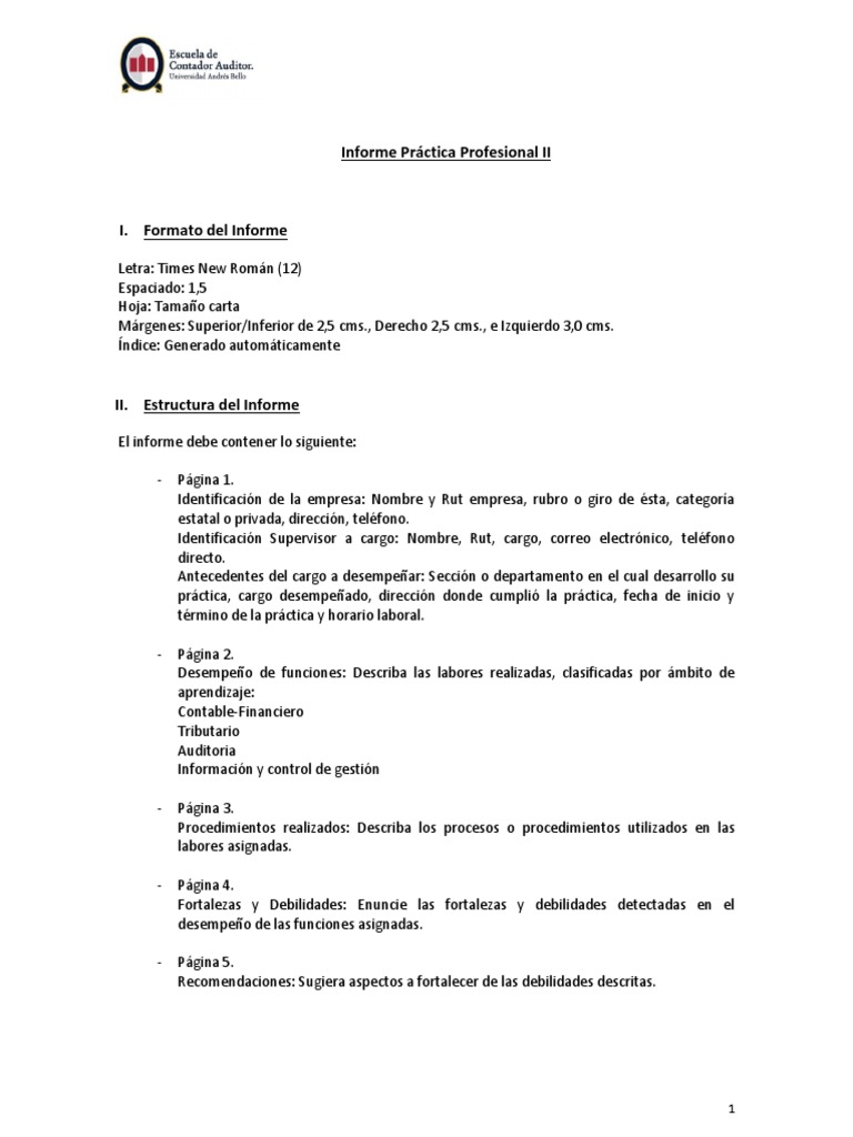 Estructura Informe Practica Profesional II | PDF | Business