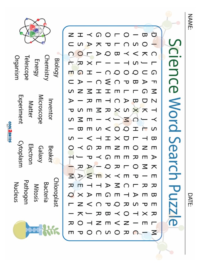 6th Grade Science Word Search Puzzles | PDF