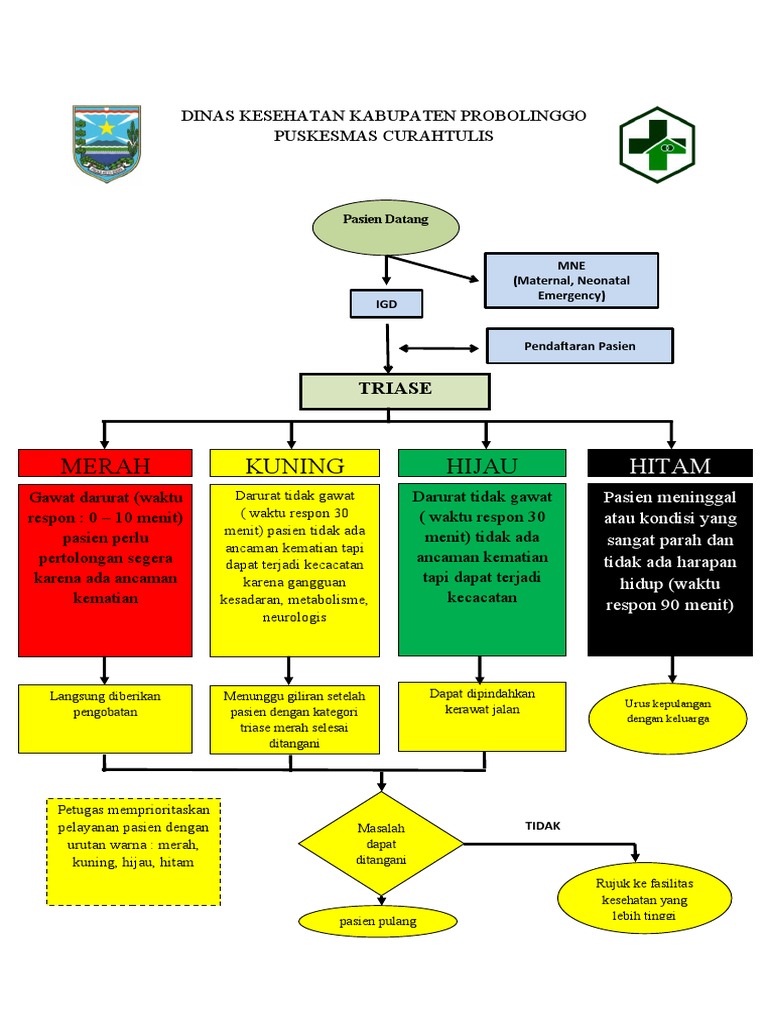 Alur Pelayanan Igd | PDF