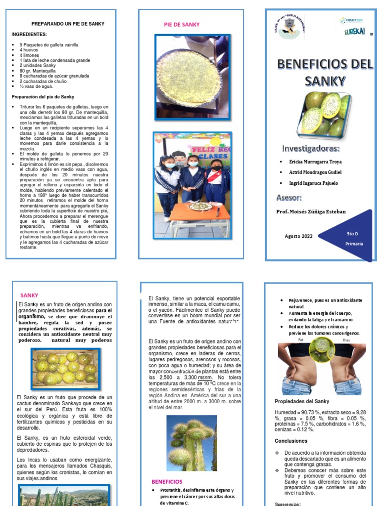Beneficios del Sanky para la salud | PDF | Galleta | Nutrición