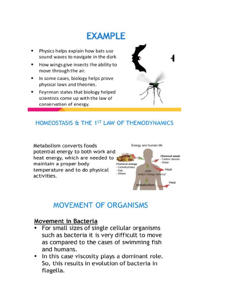 Integrated Science | PDF