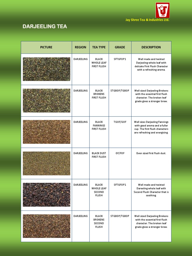 All Tea Catalogue | PDF | Tea | Leaf