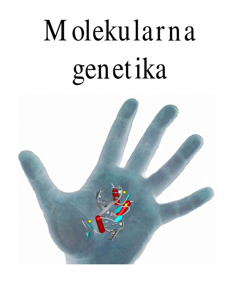 Molekularna Genetika Skripta by Jernej | PDF