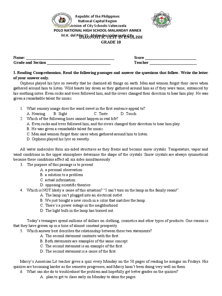 Grade 10 English Diagnostic Test | PDF