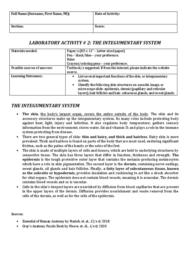 Gallego, Alyzza Faith C. - AP Lab Activity No 2 | PDF | Skin ... Gallego, Alyzza Faith C. - AP Lab Activity No 2 | PDF | Skin ...