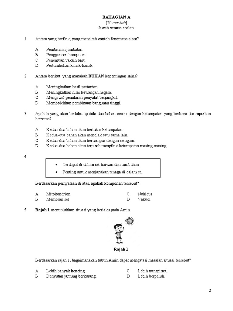 Jawapan Exam Pertengahan Tahun SMKBG 2022 Sains | PDF