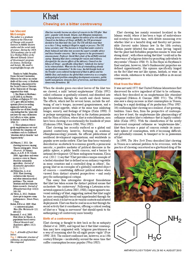 Khat Chewing: A Complex Anthropological Problem Entangling Development ...