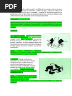 Resumen Simoes Network | PDF | Diente | Boca