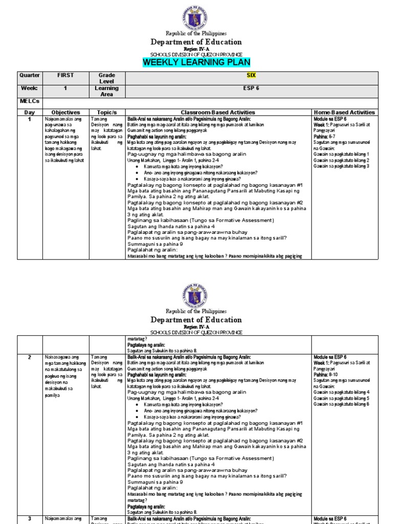 Q1-W1-Wlp-Esp 6 | PDF