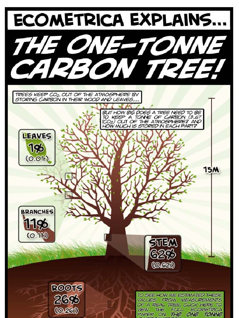 One Tonne Carbon Tree Explained | PDF | Carbon Sequestration | Biomass