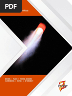 Zeeco High Energy Igniter Solutions | PDF | Technology & Engineering