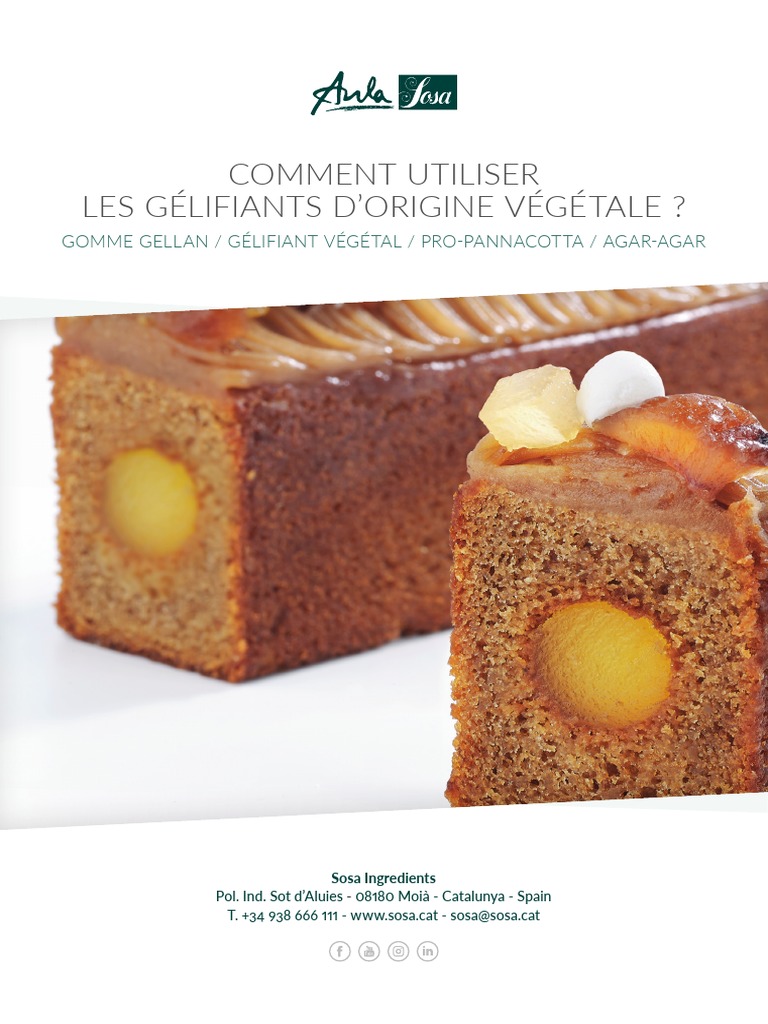 Gélifiants Végétaux : Guide d'Utilisation | PDF | Gélatine | Agar-agar