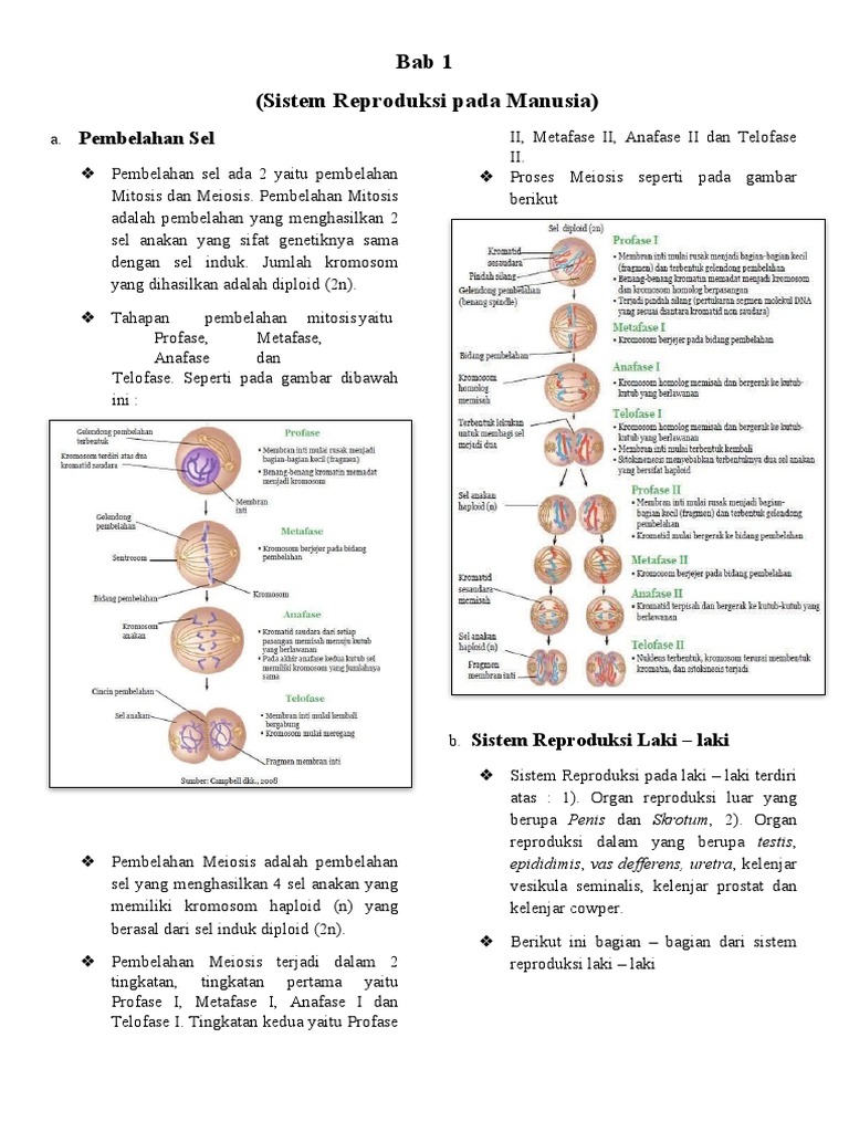 Ipa Kelas 9 Sistem Reproduksi | PDF