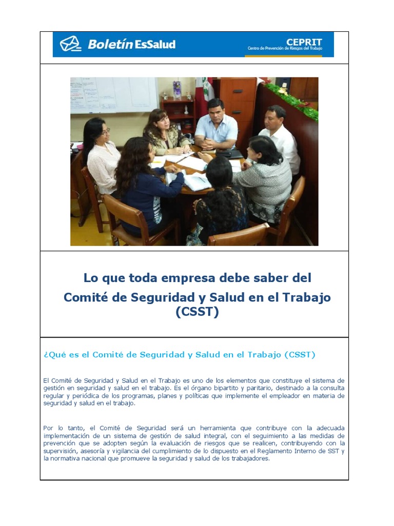 Lo Que Toda Empresa Debe Saber Del Comité de Seguridad y Salud en El ...